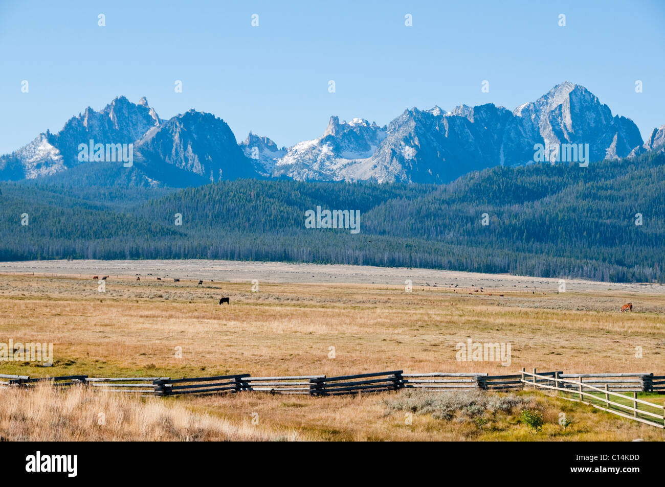 Stanley,Sawtooth Mountains,Sawtooth National Park,Forest,Home To Wolf ...