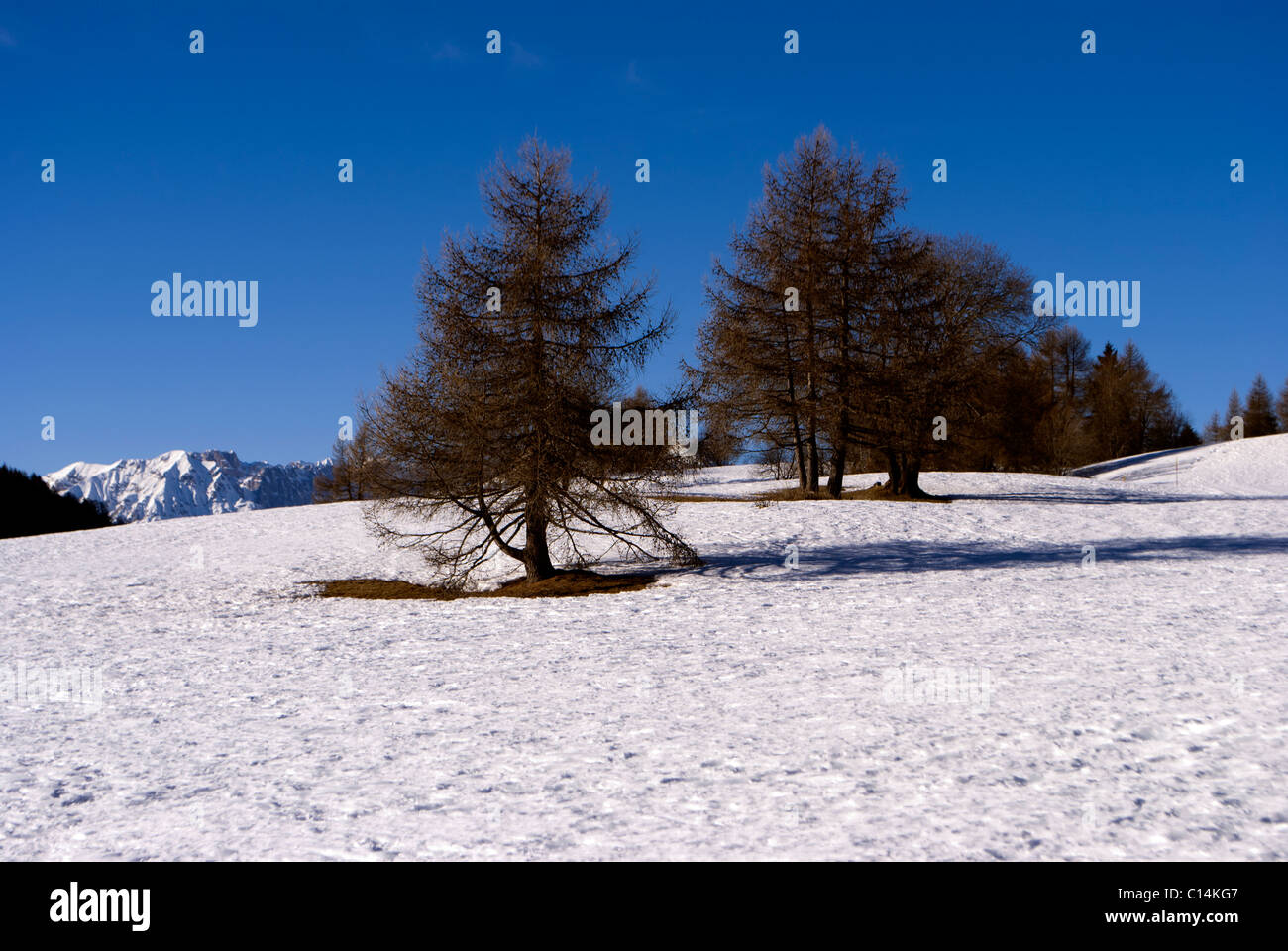 view of the mountains of the Alps, early spring Stock Photo - Alamy