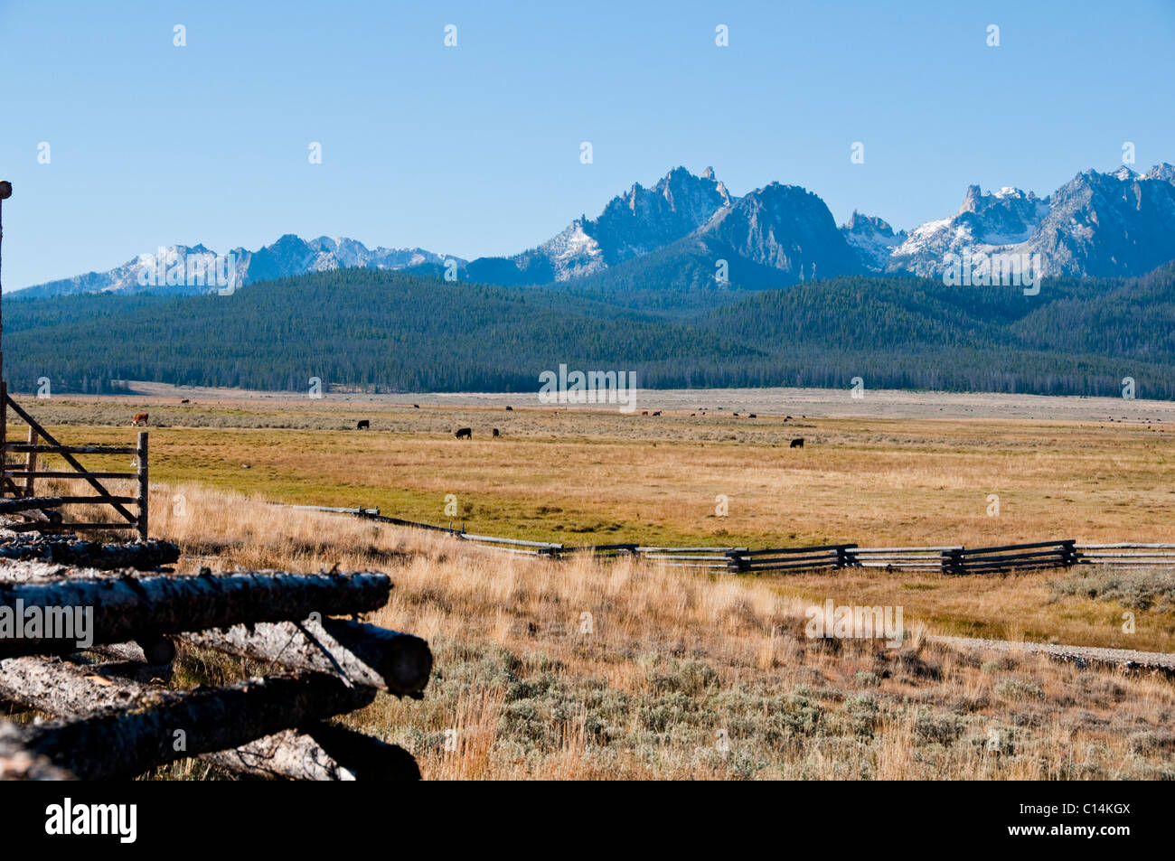 Stanley,Sawtooth Mountains,Sawtooth National Park,Forest,Home To Wolf ...