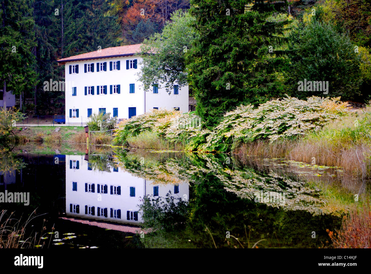 Red home in remote forest hi-res stock photography and images - Alamy