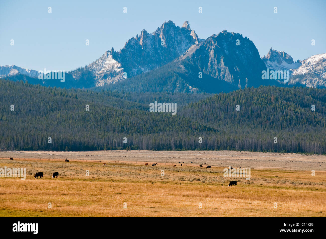 Sawtooth stanley mountains sawtooth national forest home park wolf hi ...