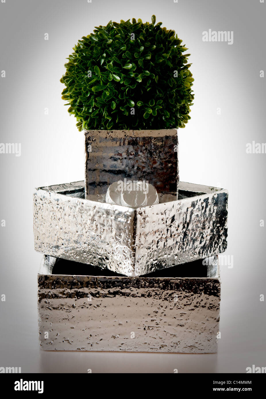 tree in a box Stock Photo - Alamy