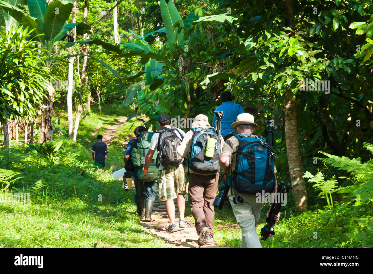 Tourists traveling in Costa Rica Stock Photo - Alamy