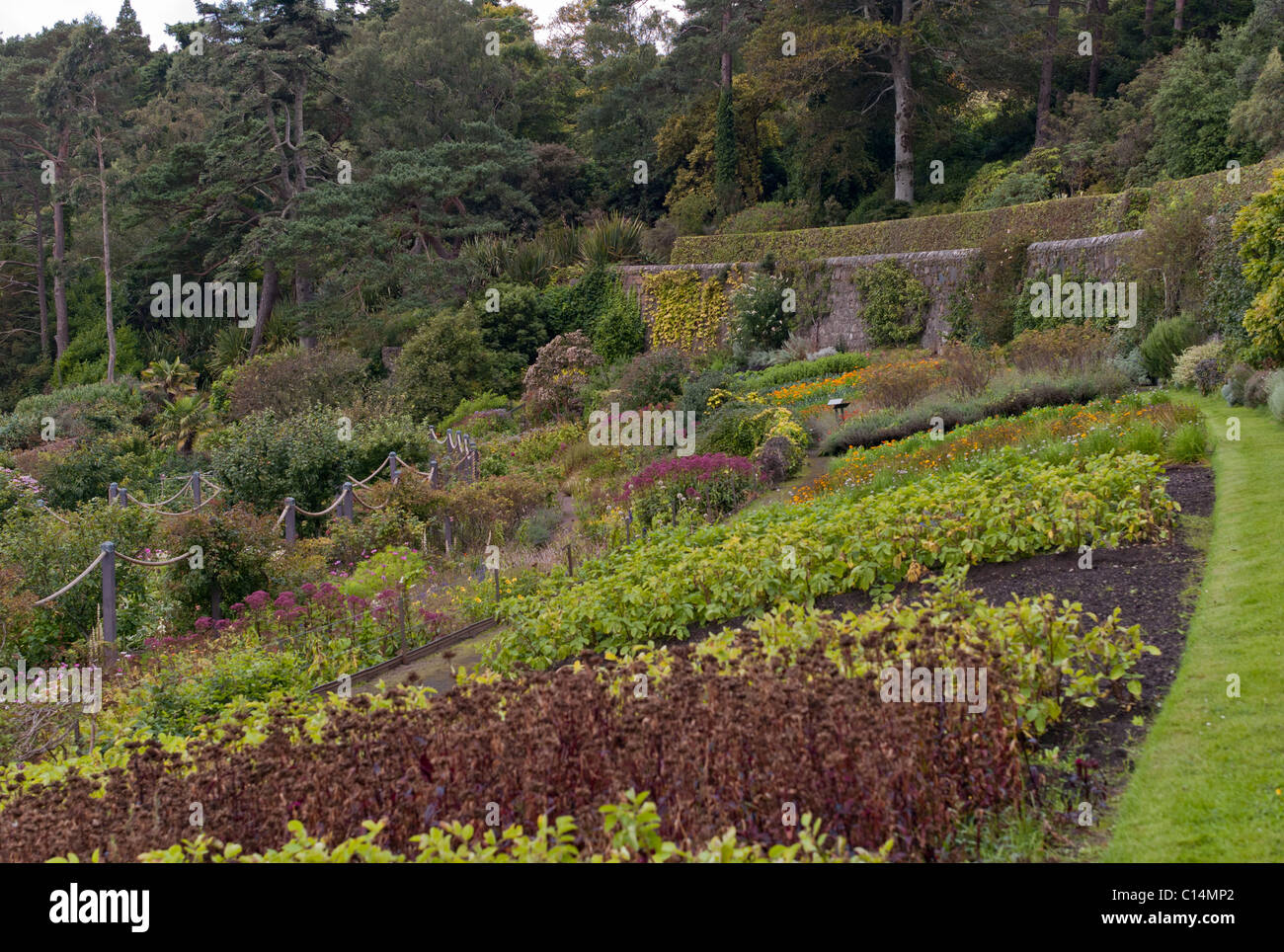 Inverewe Gardens High Resolution Stock Photography and Images - Alamy