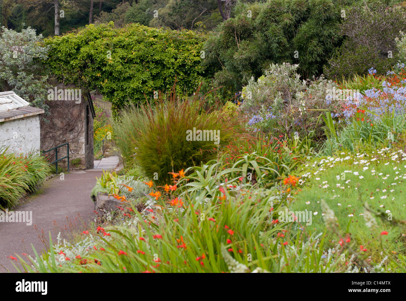 INVEREWE GARDENS SCOTLAND UNITED KINGDOM Stock Photo - Alamy