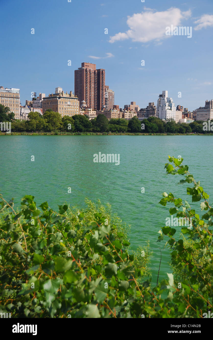 New York City Central Park urban Manhattan skyline with skyscrapers and ...