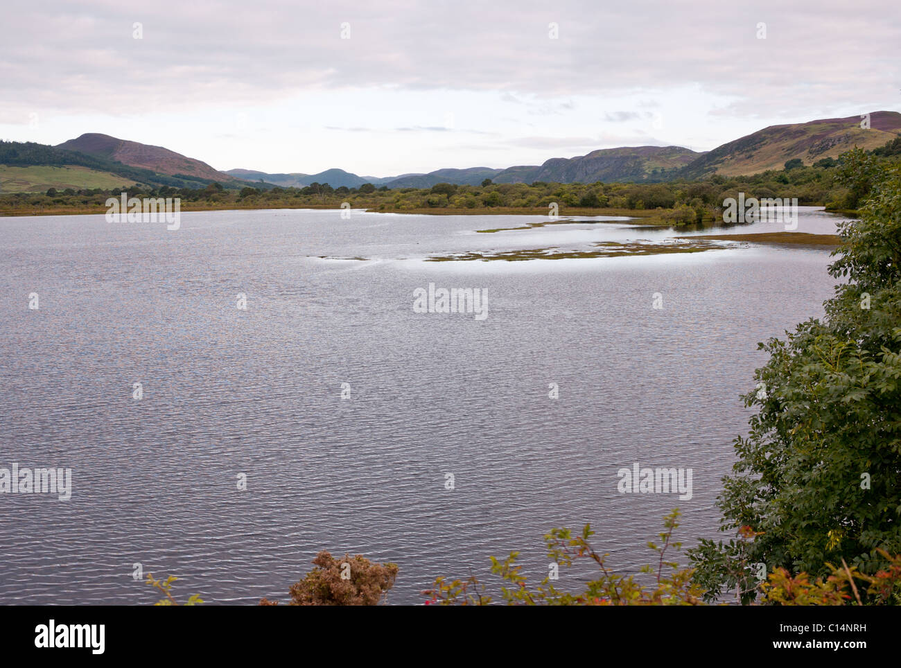 TAIN RIVER HIGHLAND SCOTLAND UNITED KINGDOM Stock Photo - Alamy