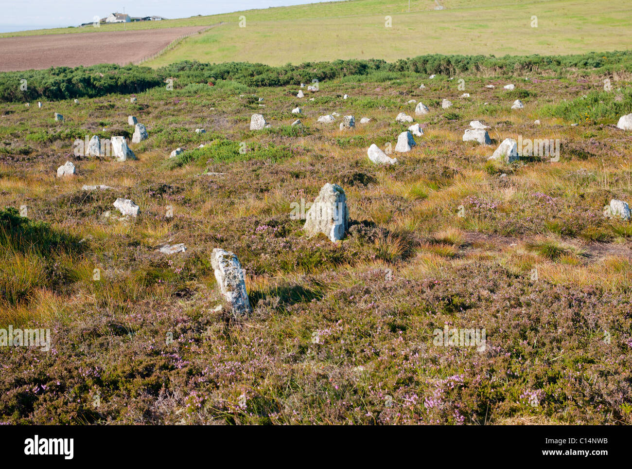 STONES HILL o'MANY STANES SCOTLAND UNITED KINGDOM Stock Photo - Alamy