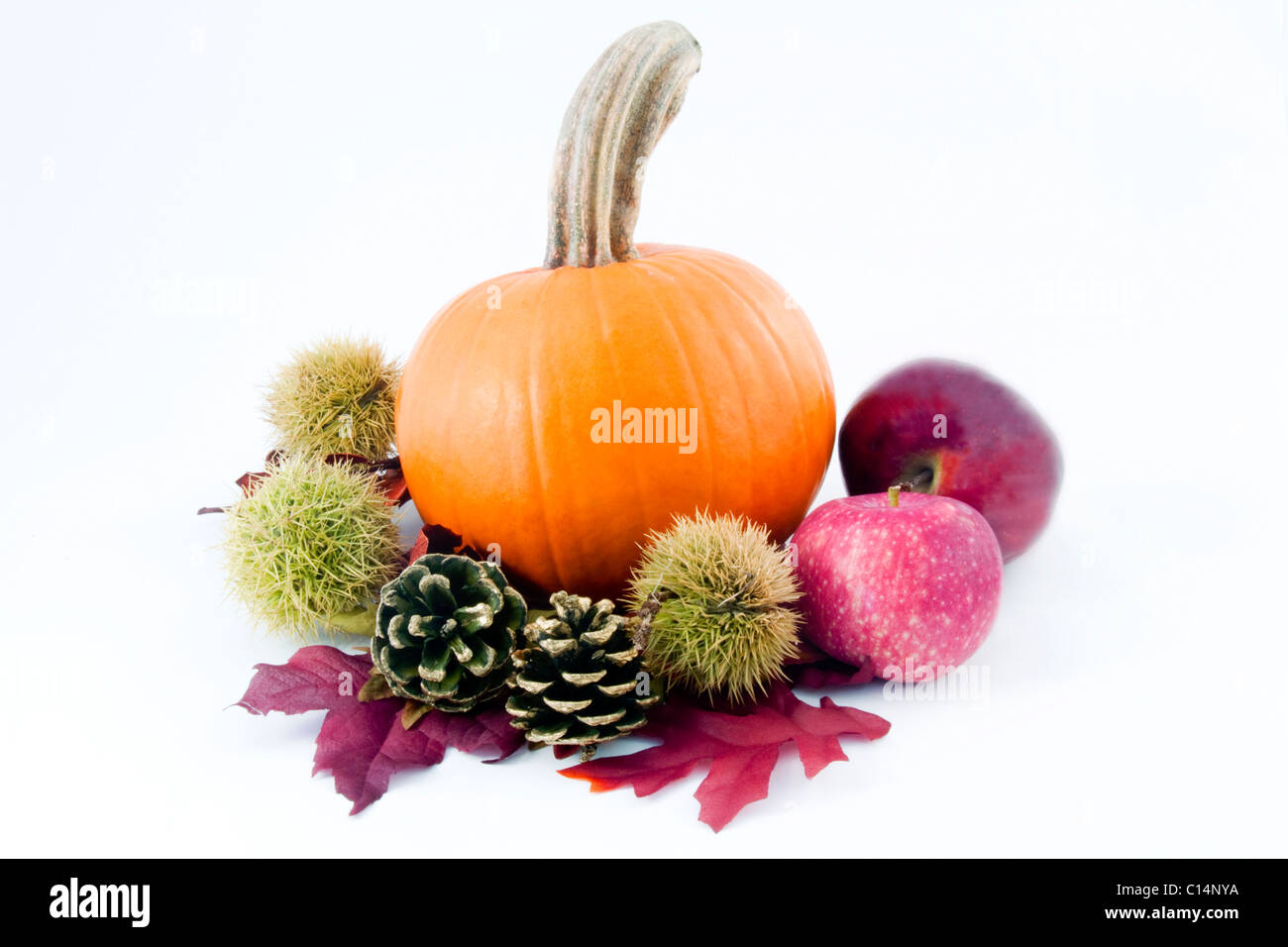 Deep orange pumpkin, spiny chestnut burrs, gold tipped pine cones, and ...