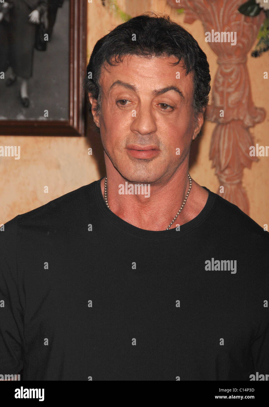 Italian Stallone High Resolution Stock Photography and Images - Alamy