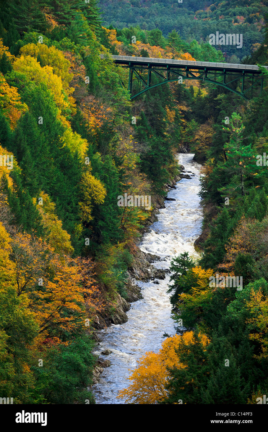 FALL FOLIAGE FOREST AERIAL VIEW BALLOON WOODSTOCK VERMONT USA Stock ...