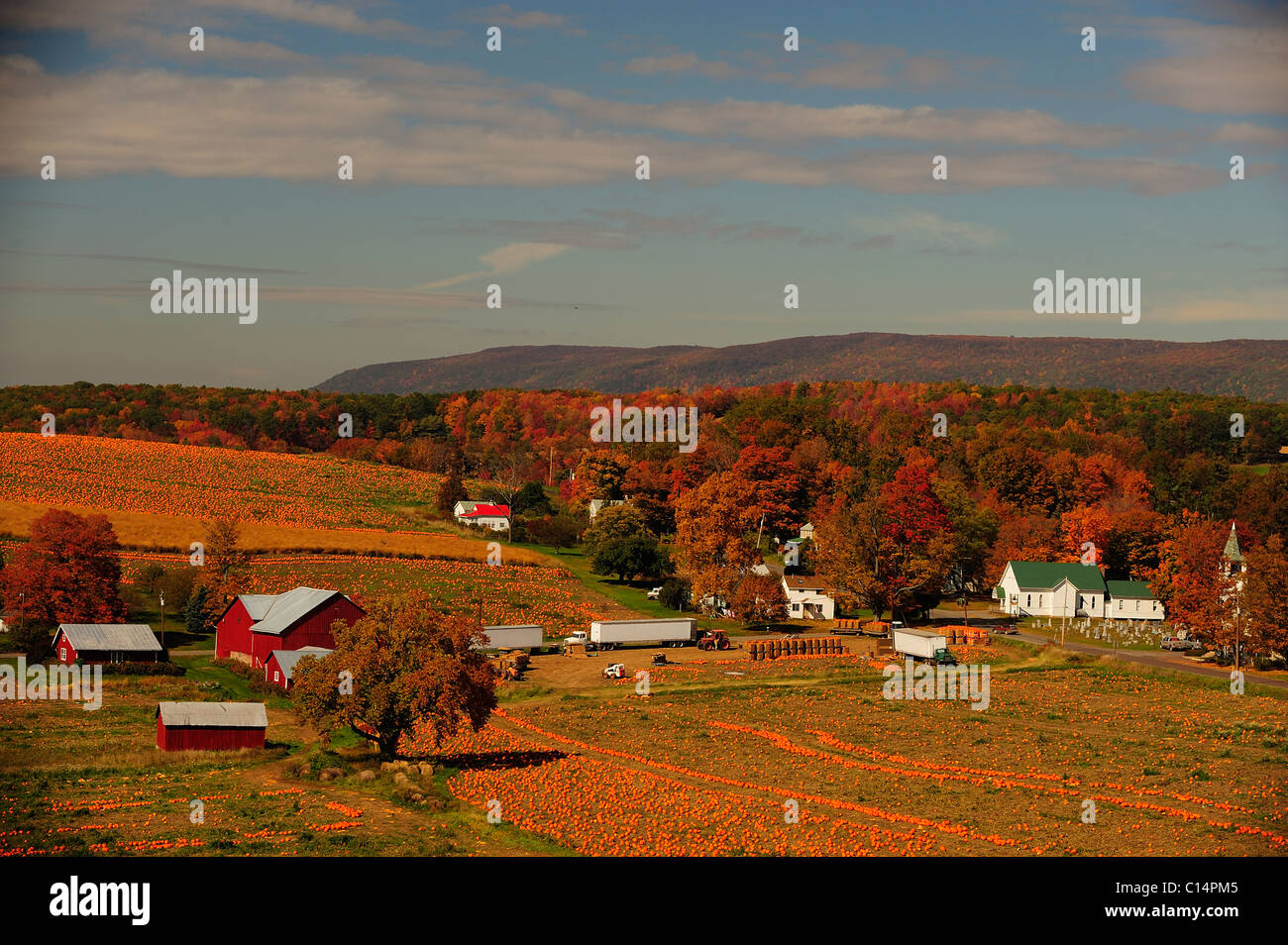 Pumpkin fields in PA Stock Photo - Alamy