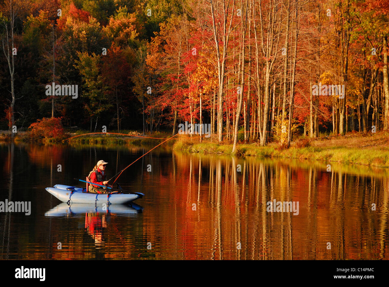 Fall fly fishing Stock Photo - Alamy