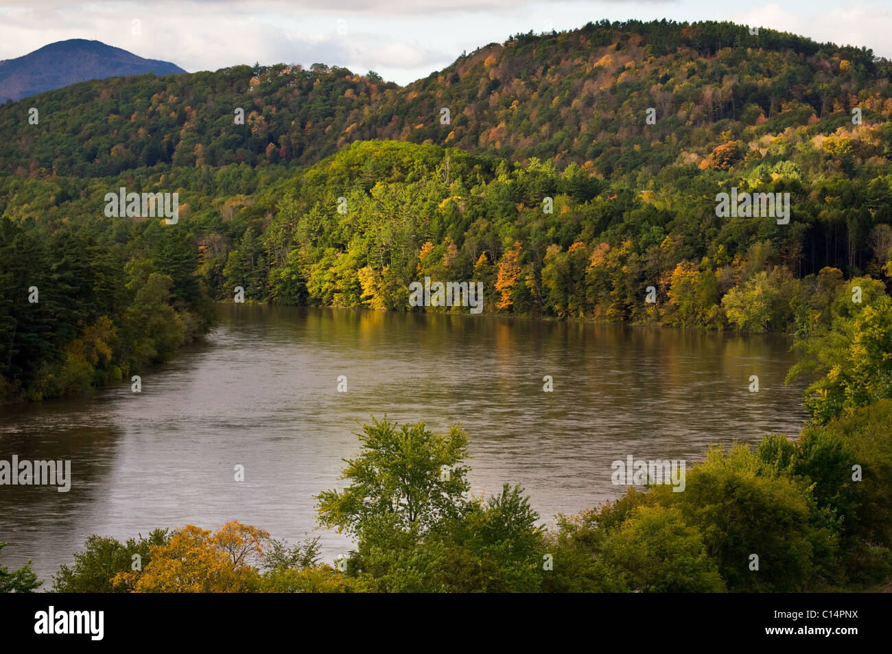 FALL FOLIAGE FOREST AERIAL VIEW BALLOON WOODSTOCK VERMONT USA Stock ...