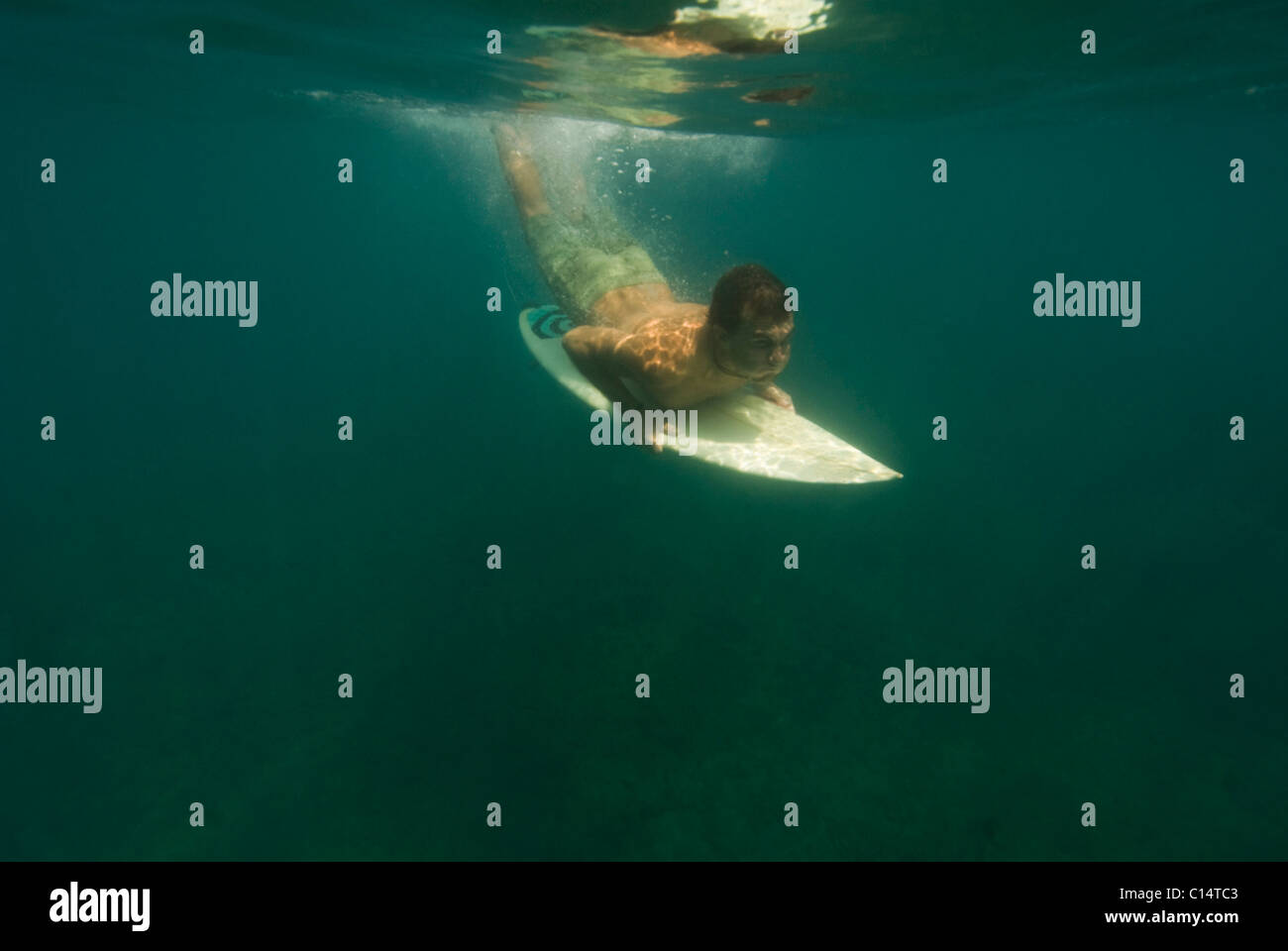 A young man diving underwater with his surfboard in Costa Rica Stock ...