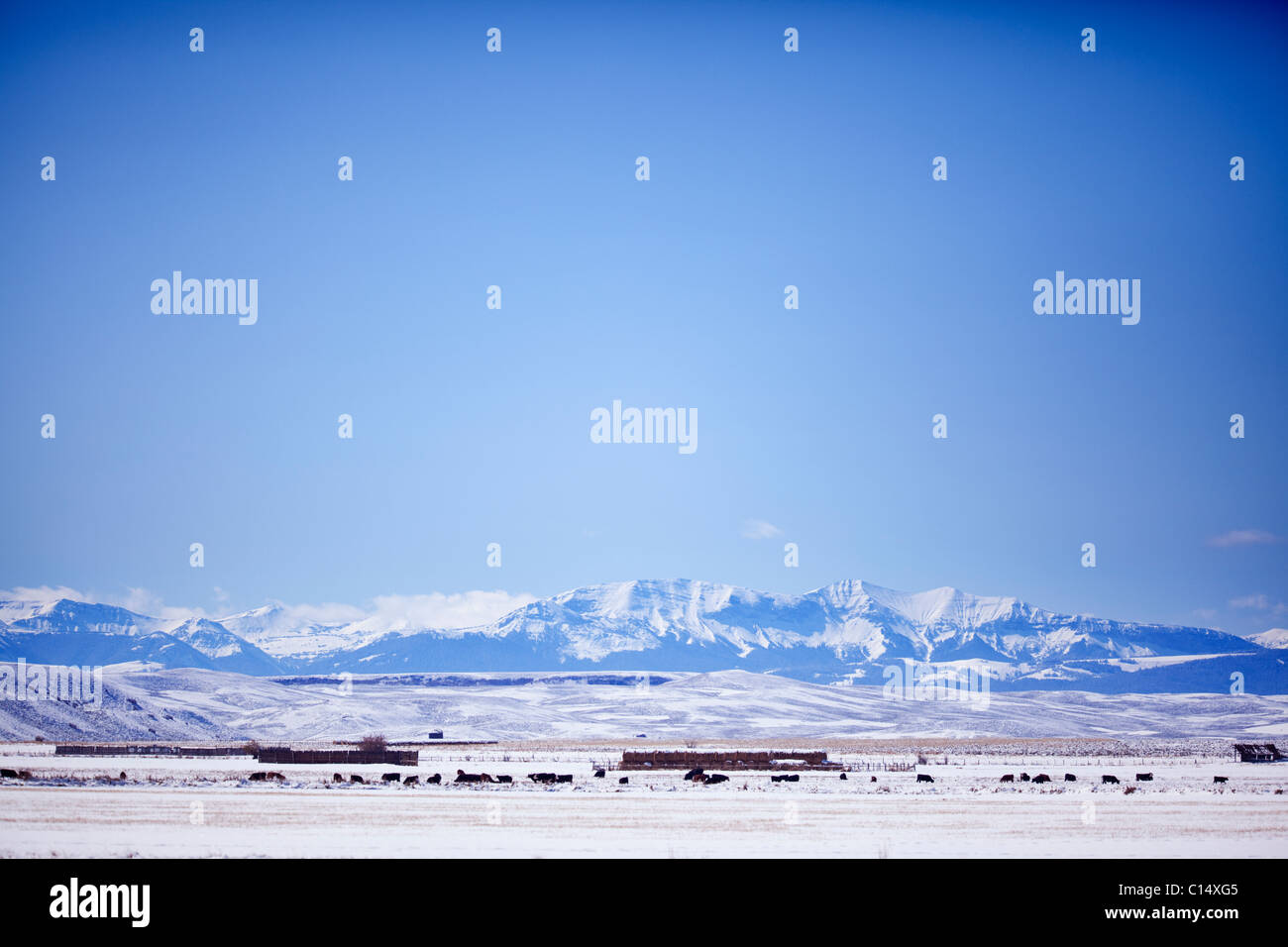 Looking west over snowy ranch land, Upper Green River Valley, facing ...