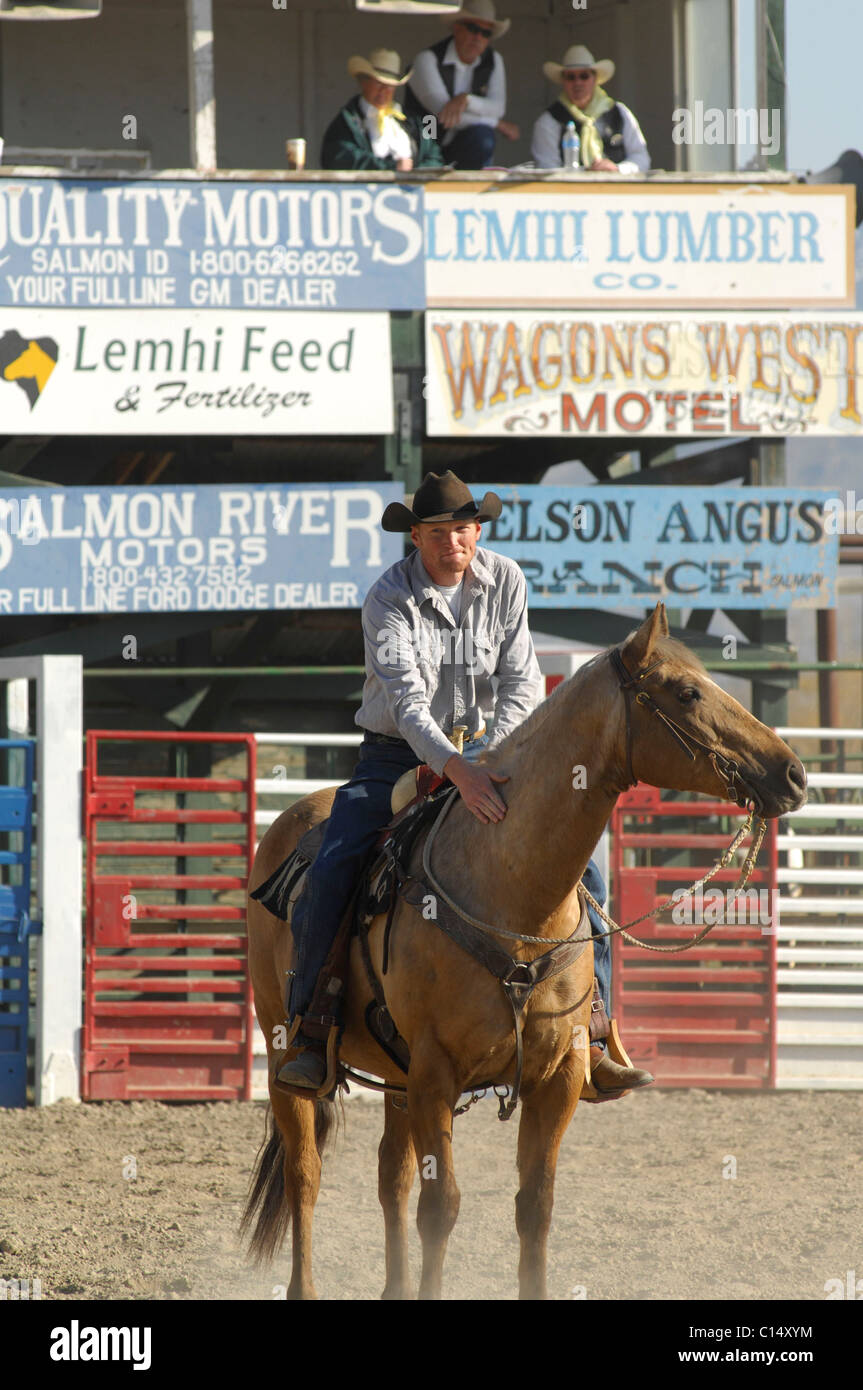 Team Roping, Tie-Down Roping, Calf Roping, Horse, Horses Stock Photo ...