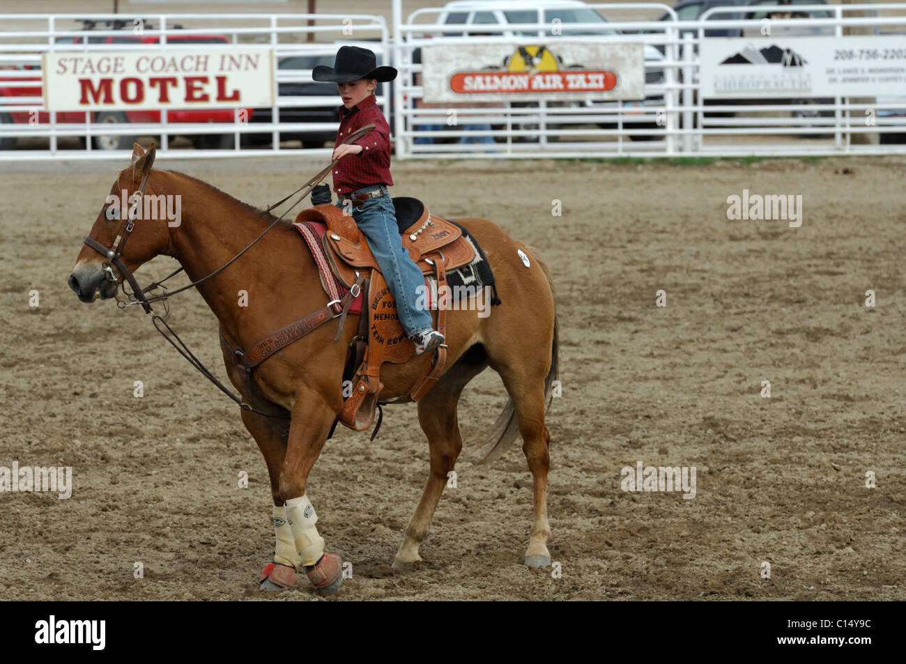 Team Roping, Tie-Down Roping, Calf Roping, Horse, Horses Stock Photo ...