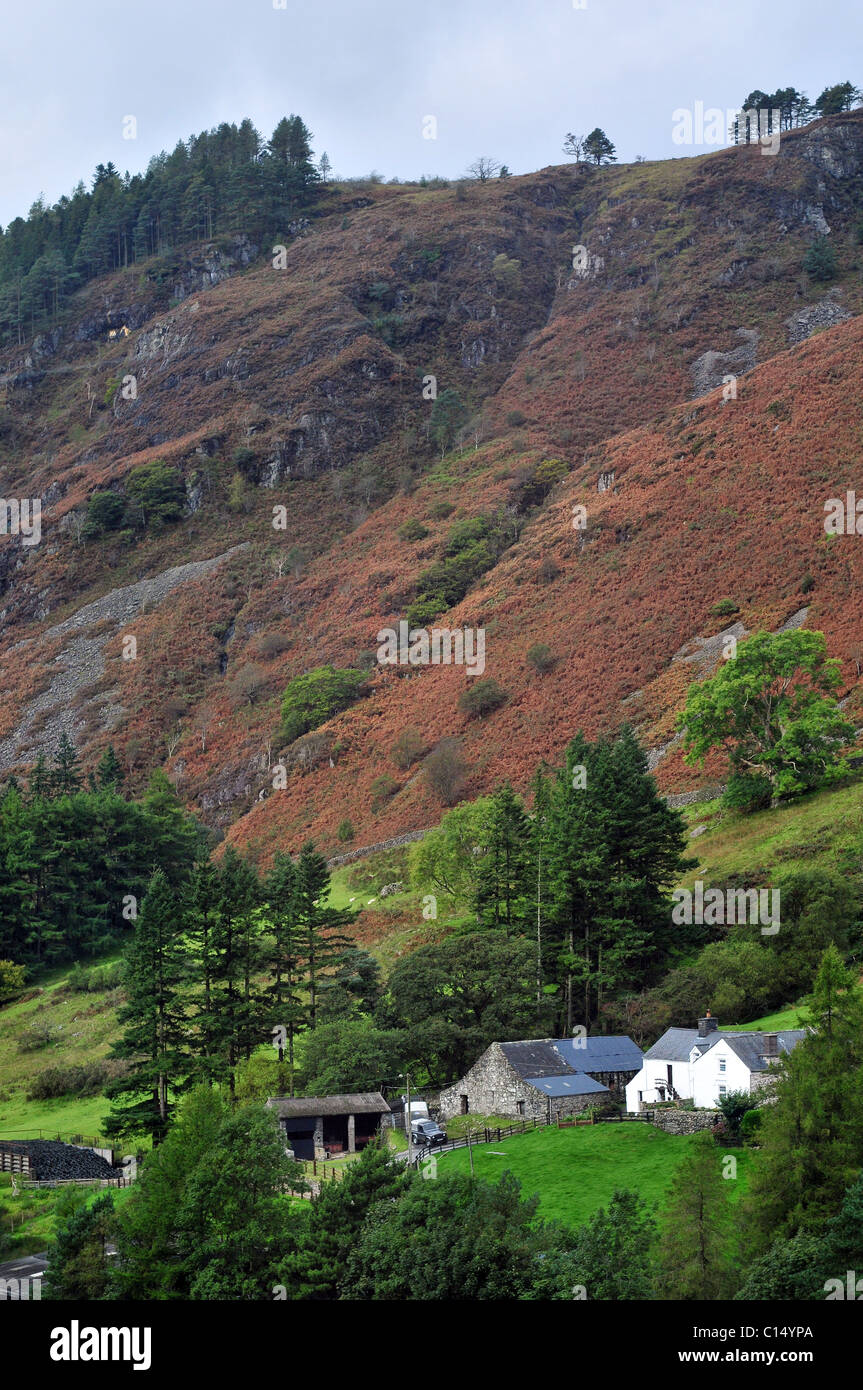 Welsh farm land hi-res stock photography and images - Alamy