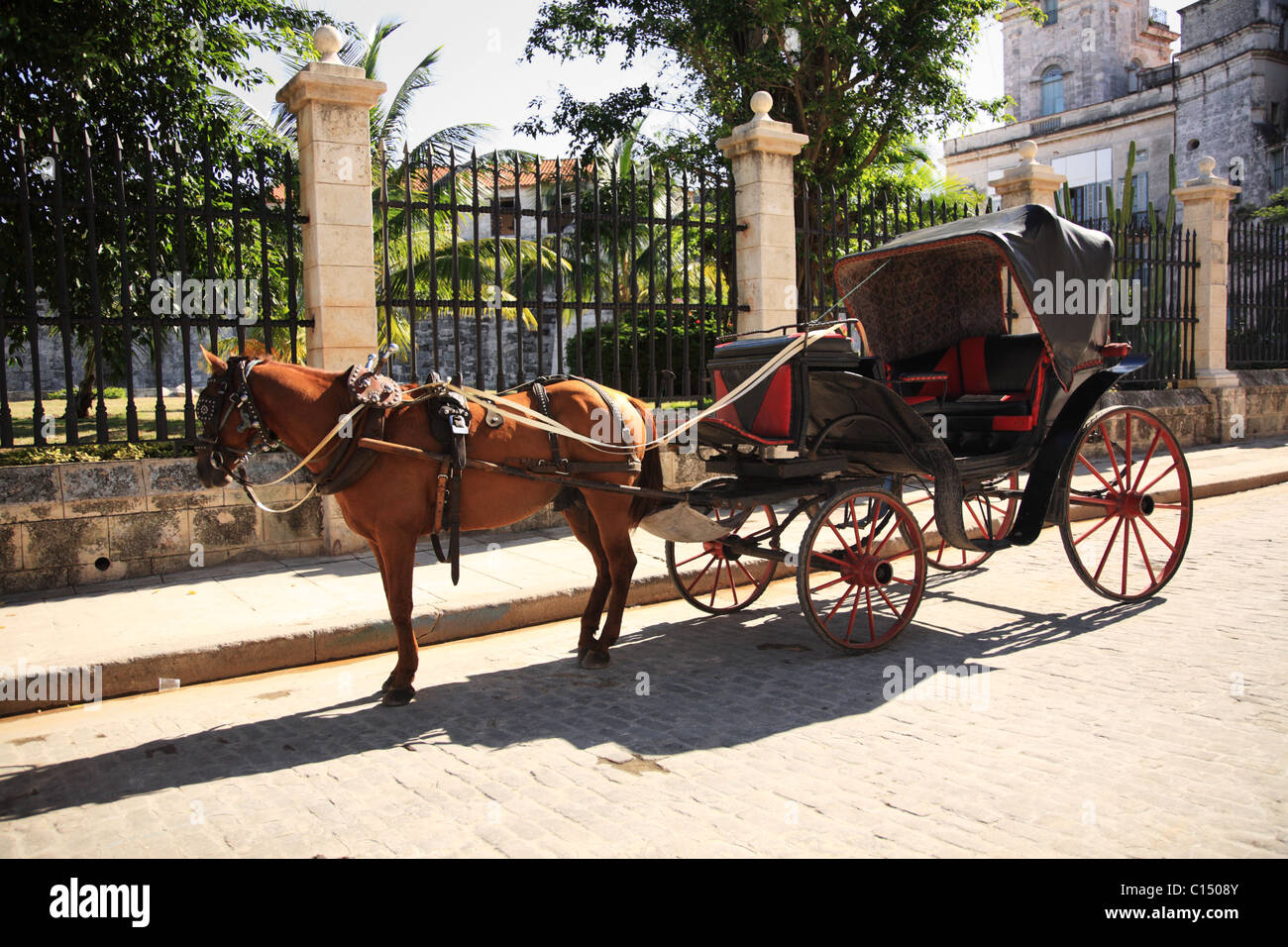 Horse and cart in Havana Cuba Stock Photo - Alamy