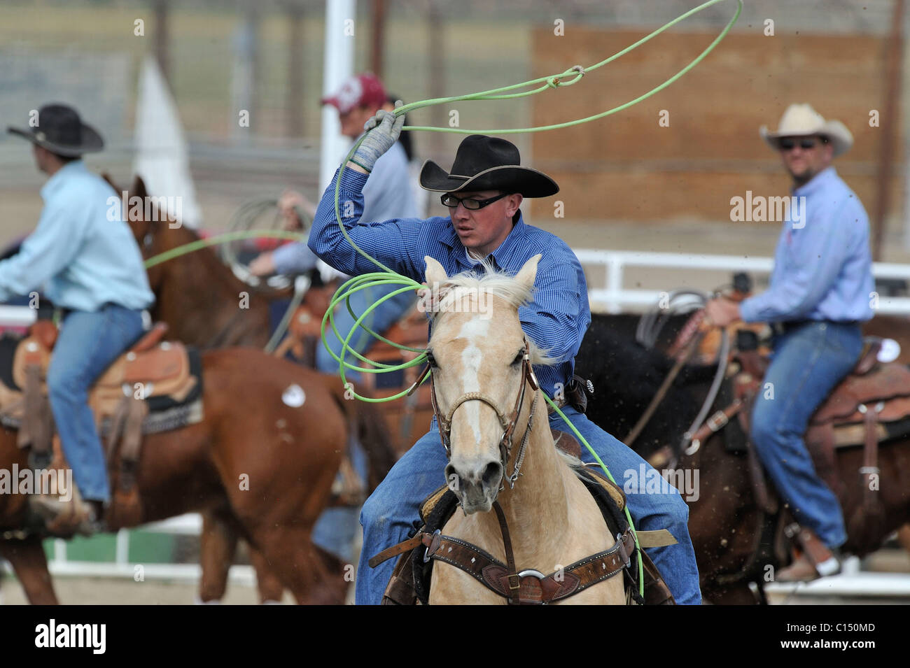 Team Roping, Tie-Down Roping, Calf Roping, Horse, Horses Stock Photo ...