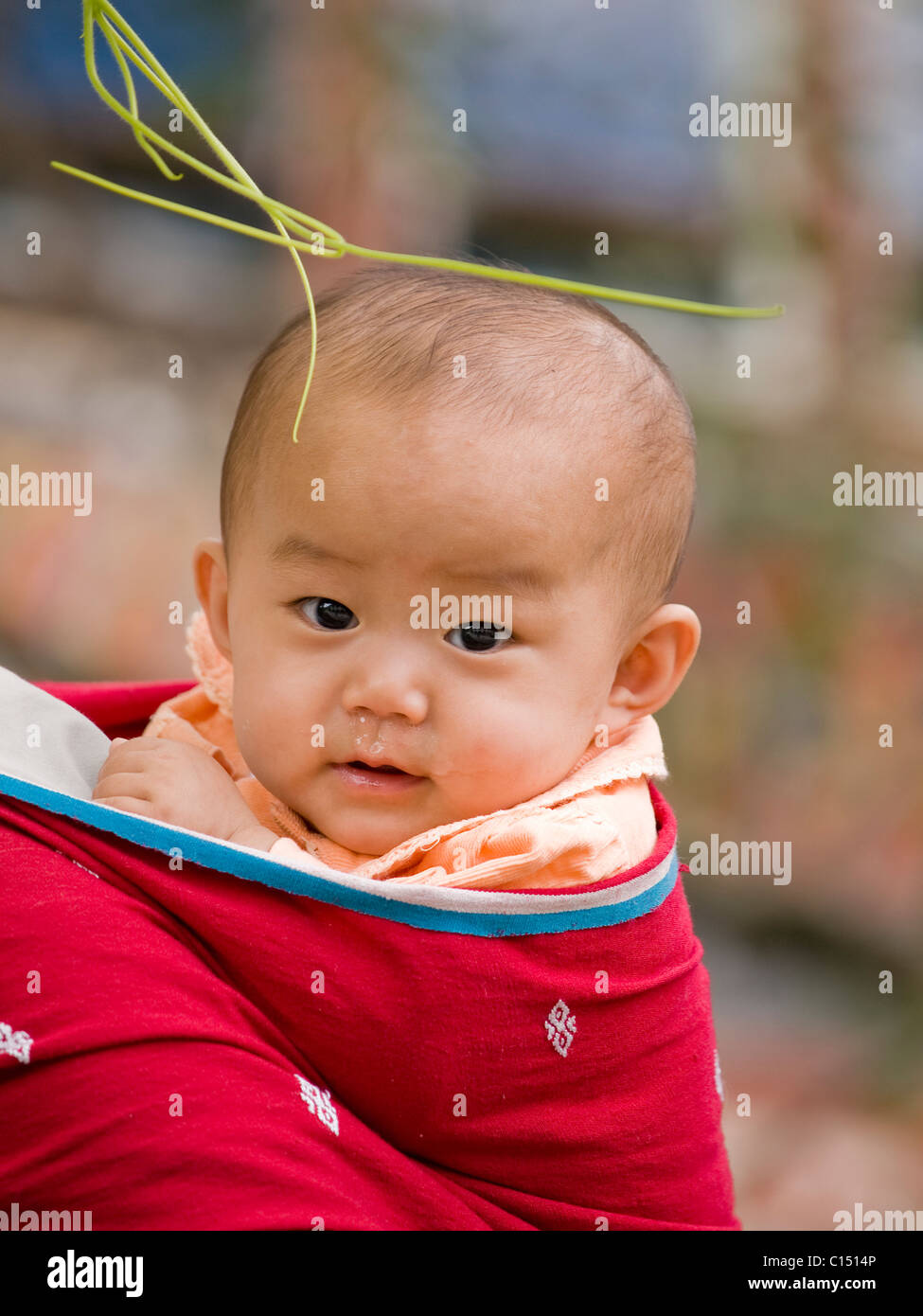 Young father with his baby on his back Stock Photo - Alamy