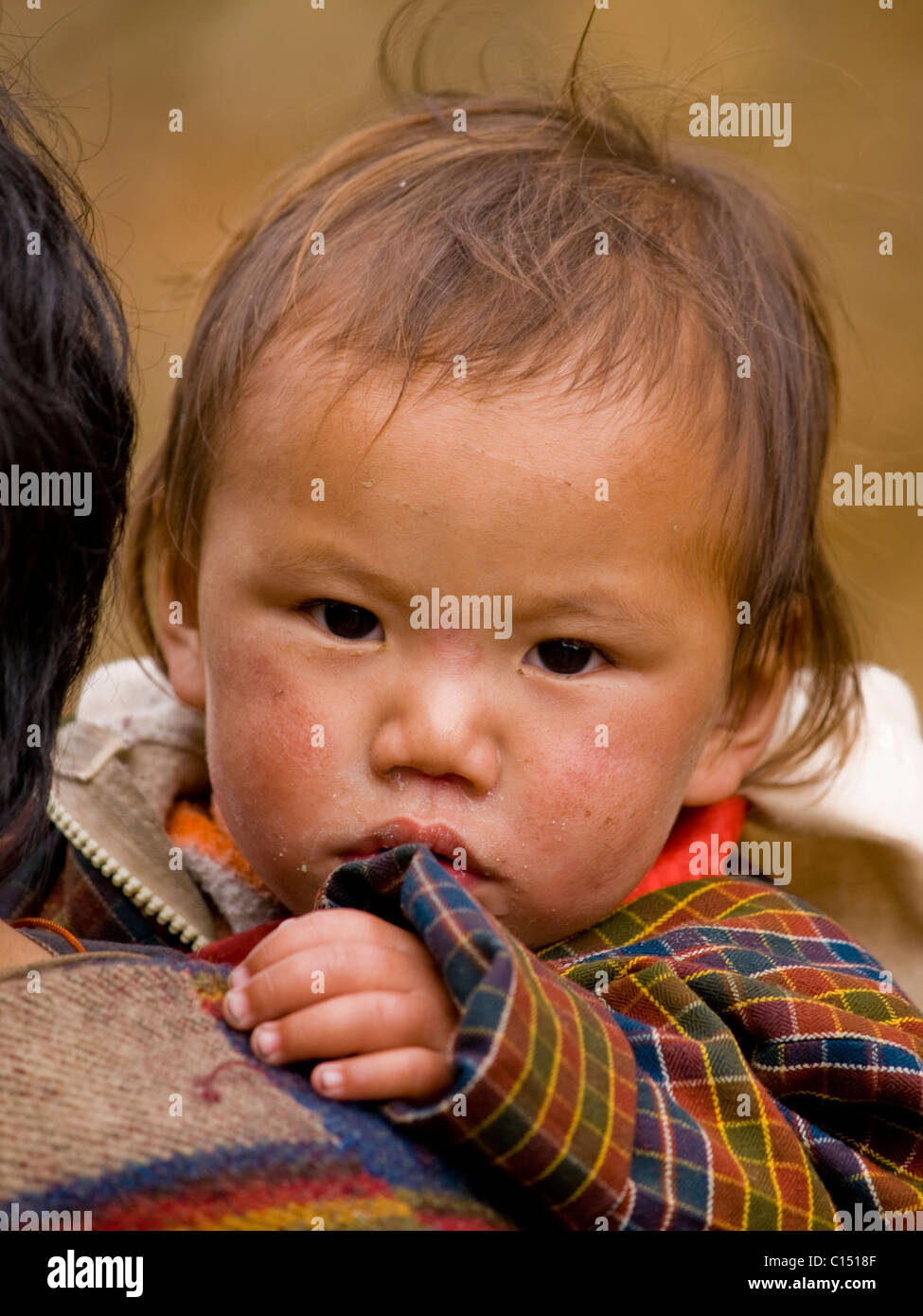 Young Tibetan mother with her baby on her back Stock Photo - Alamy