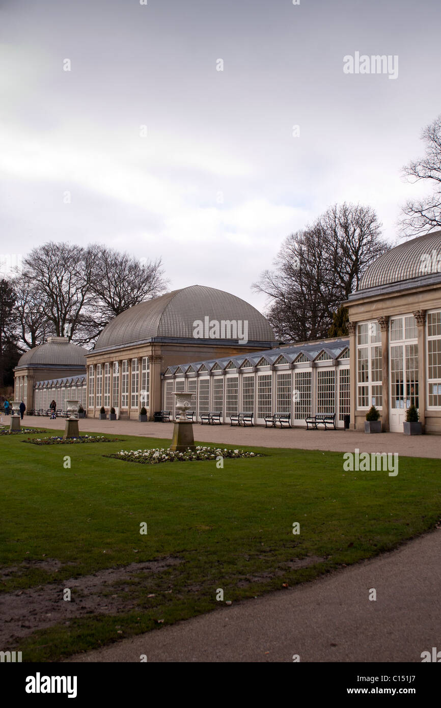 Sheffield greenhouse hi-res stock photography and images - Alamy