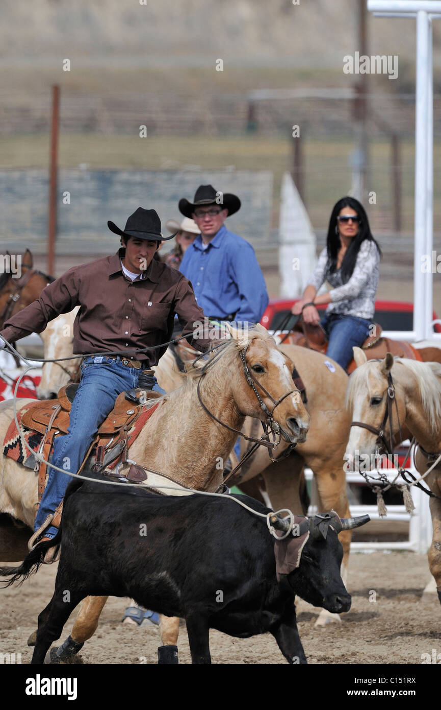 Salmon Select Horse Sale Roping High Resolution Stock Photography and ...