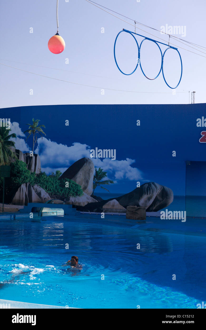 Zoo Marine in Albufeira Portugal dolphin show Stock Photo - Alamy