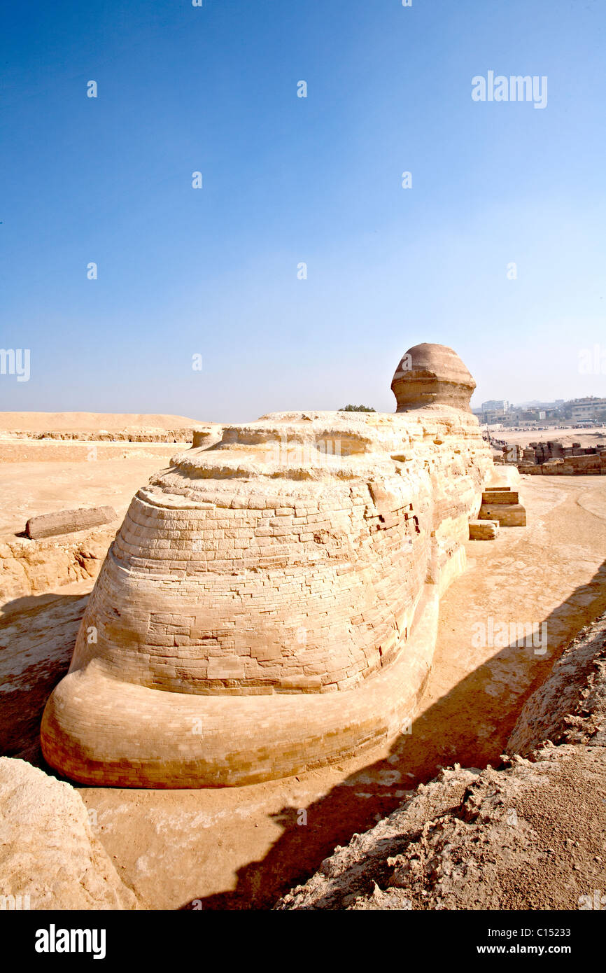 The Great Sphinx Back Legs