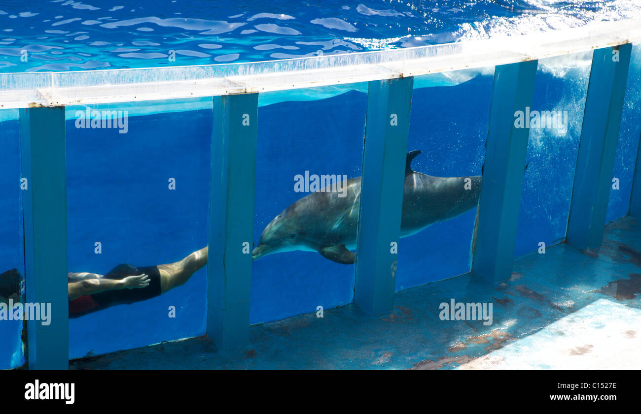 Zoo animals welfare hi-res stock photography and images - Alamy