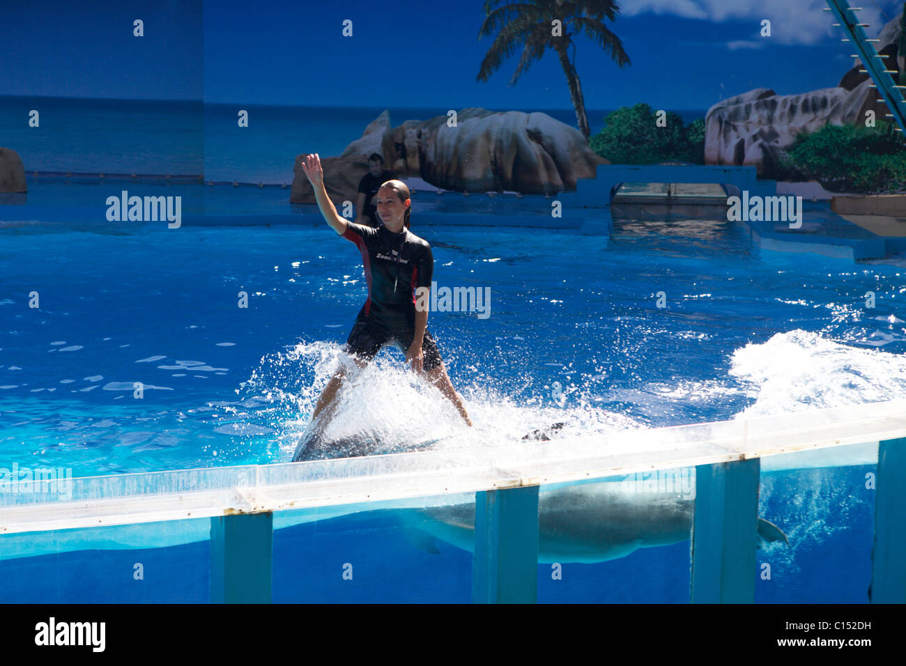 Zoo Marine in Albufeira Portugal dolphin show Stock Photo - Alamy