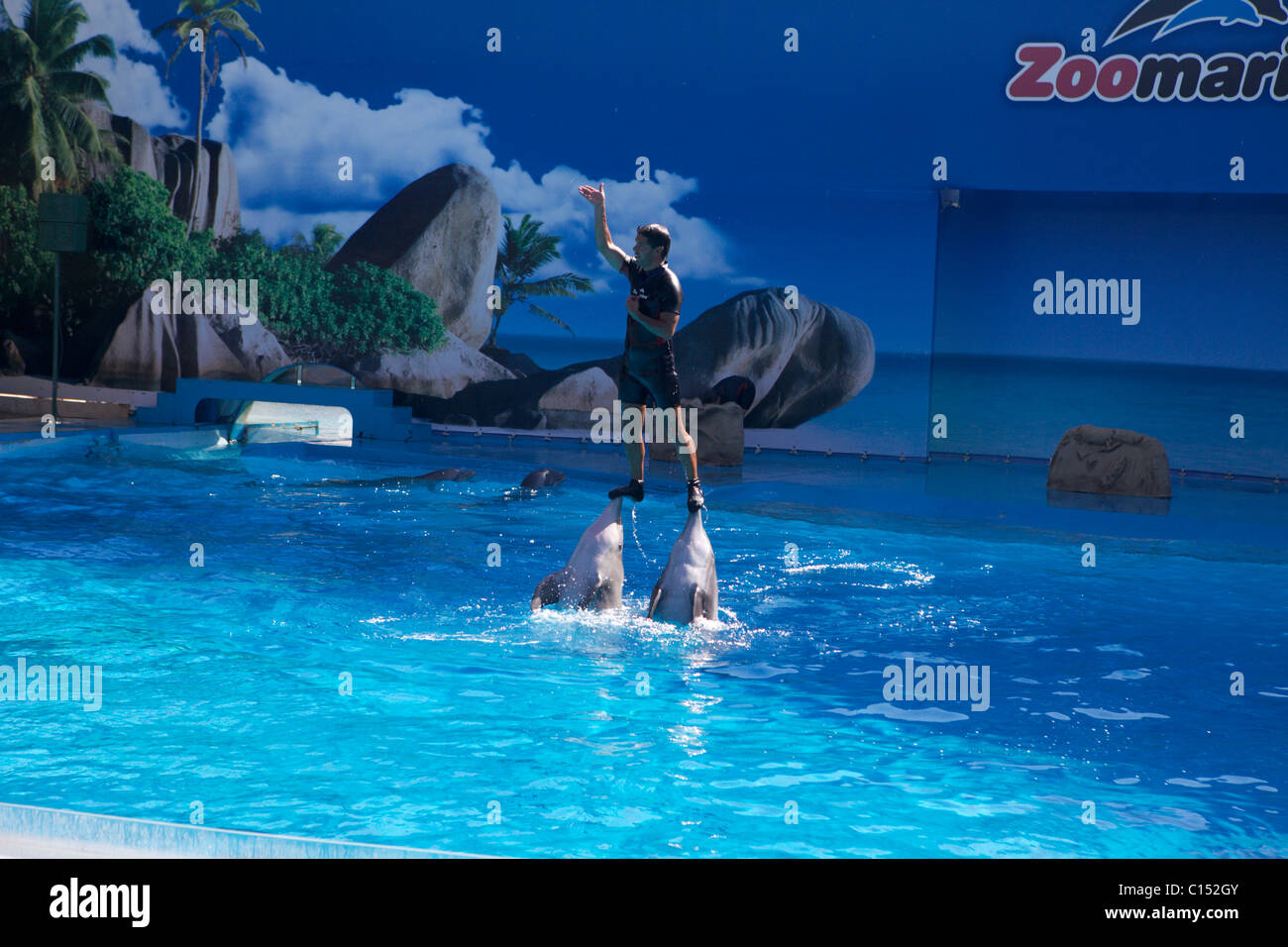 Zoo Marine in Albufeira Portugal dolphin show Stock Photo - Alamy