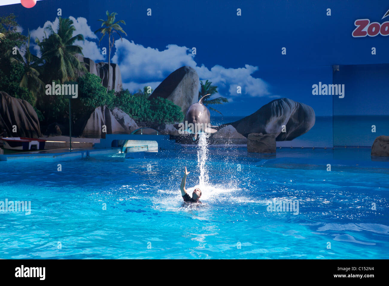 Zoo Marine in Albufeira Portugal dolphin show Stock Photo - Alamy