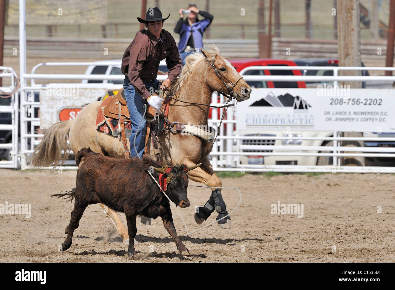 Team Roping, Tie-Down Roping, Calf Roping, Horse, Horses Stock Photo ...