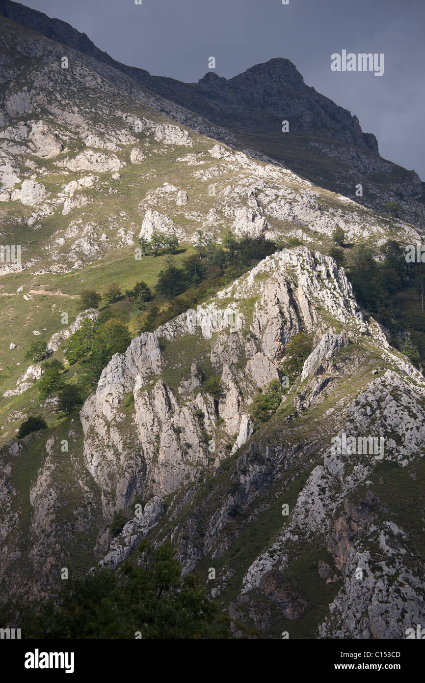 Scenery mountains and forested woodlands hi-res stock photography and ...
