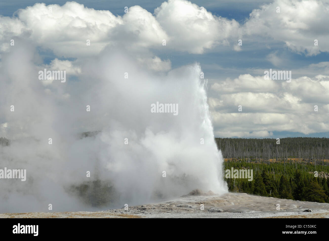 Old Faithful, Eruption, Summer, Yellowstone National Park, Wyoming ...