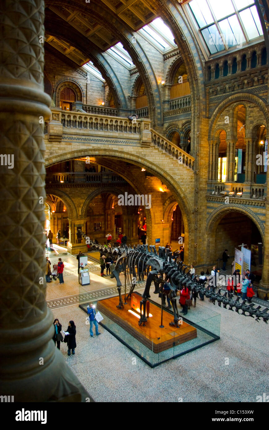 Natural History Museum Interior Stock Photo - Alamy