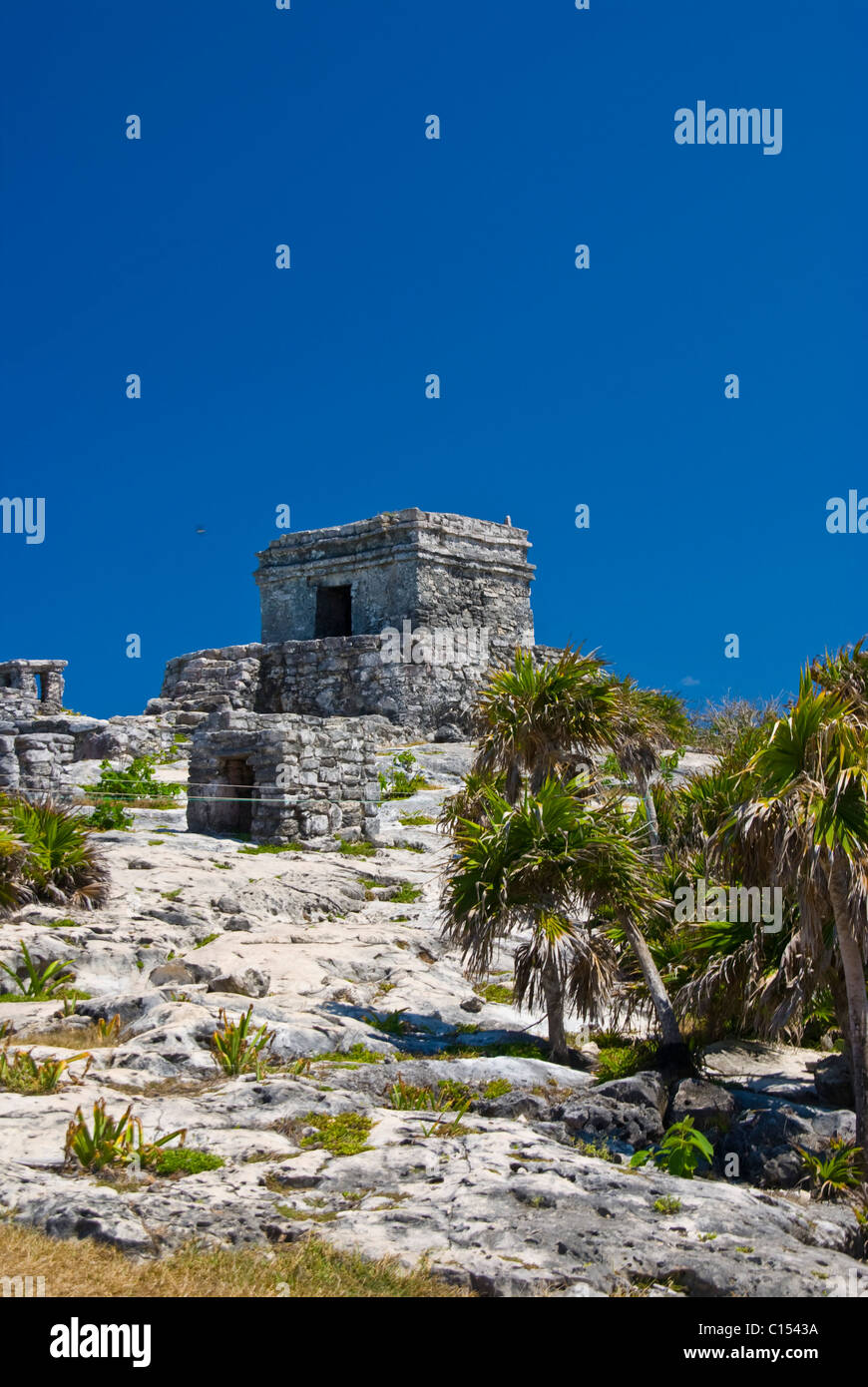 Templo tropical hi-res stock photography and images - Alamy