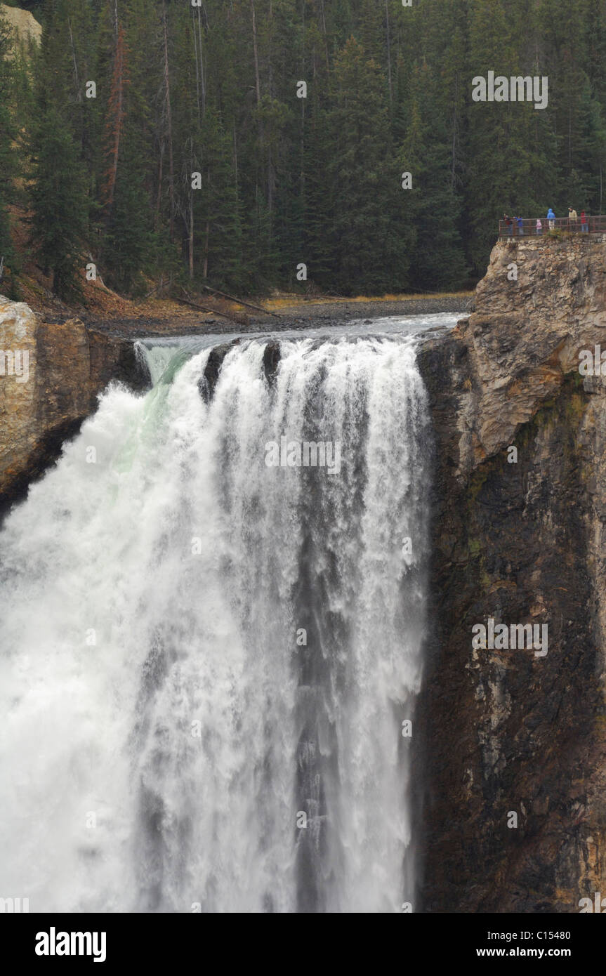 Yellowstone Falls, Waterfall, Yellowstone National Park, Wyoming Stock Photo - Alamy