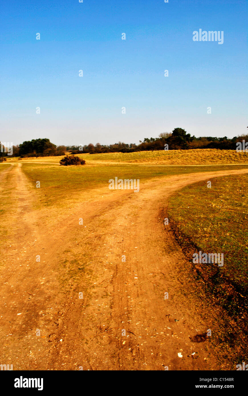 scenes track, nature norfolk Stock Photo - Alamy