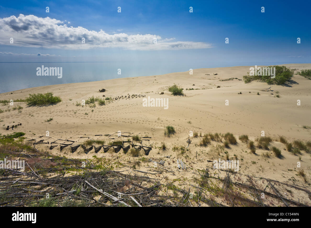 Sand dunes and bright blue sky. Curonian Spit, Russia Stock Photo - Alamy
