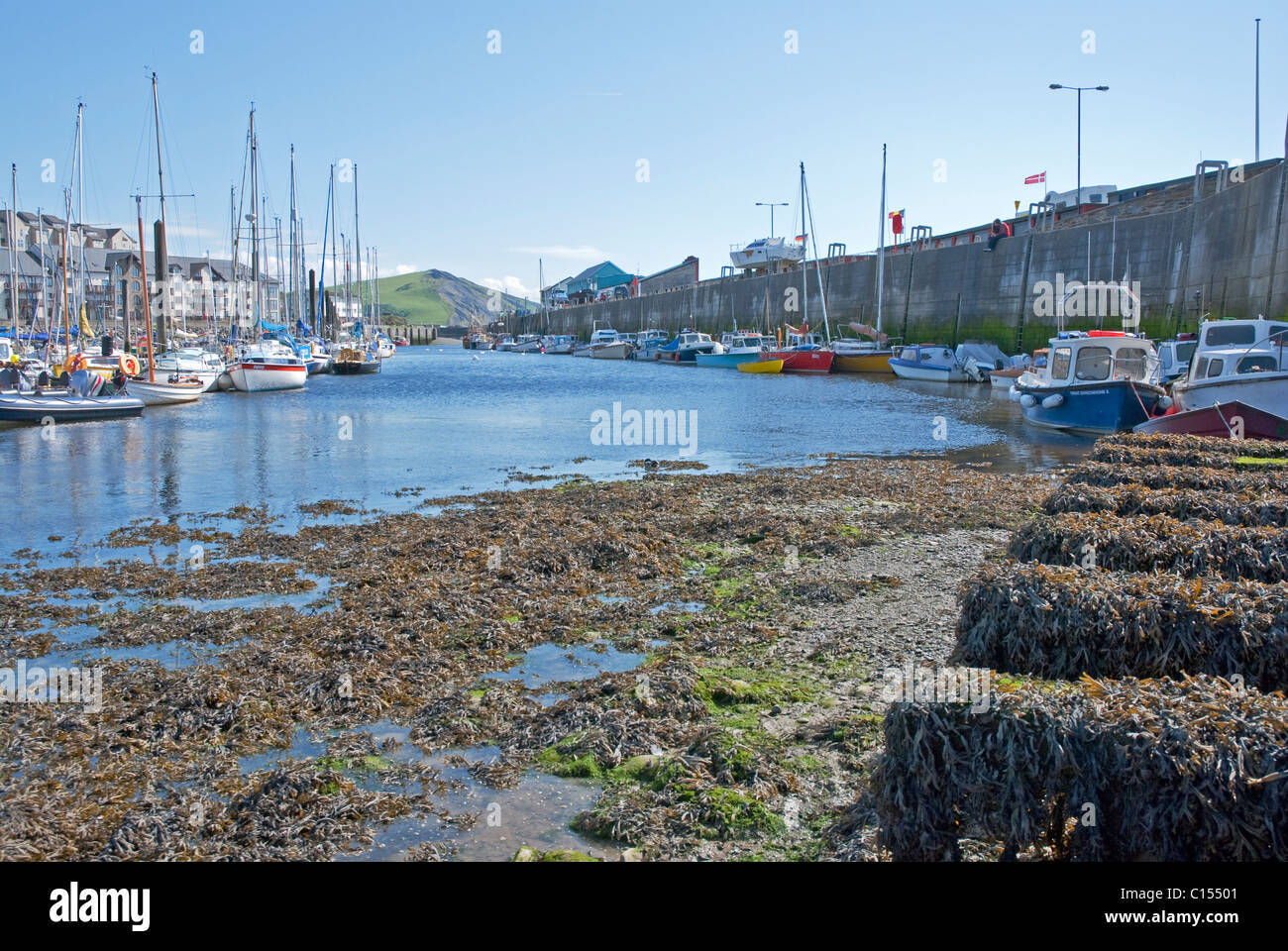 Rheidol river aberystwyth hi-res stock photography and images - Alamy