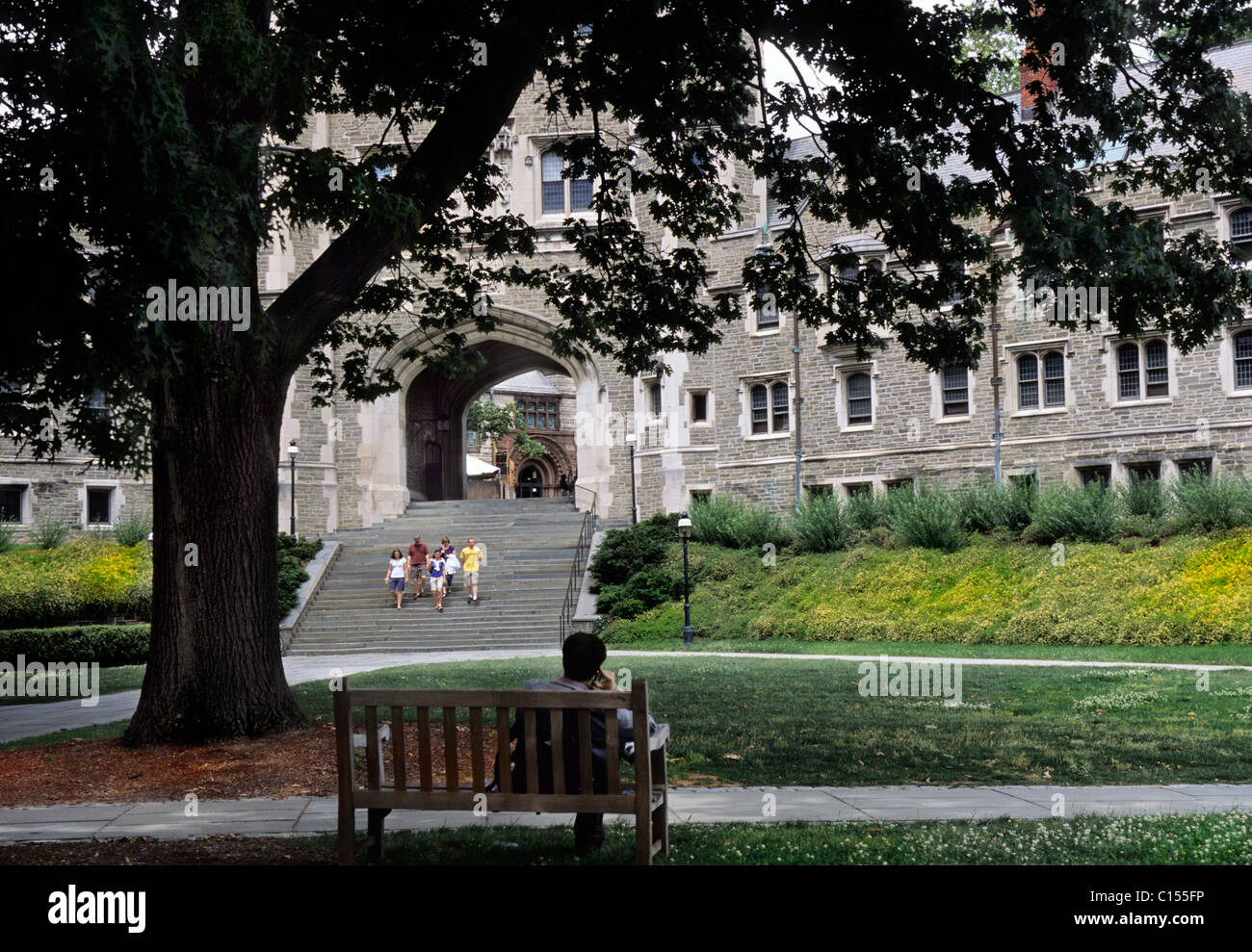 Princeton University campus. Student sitting on a bench under a tree ...