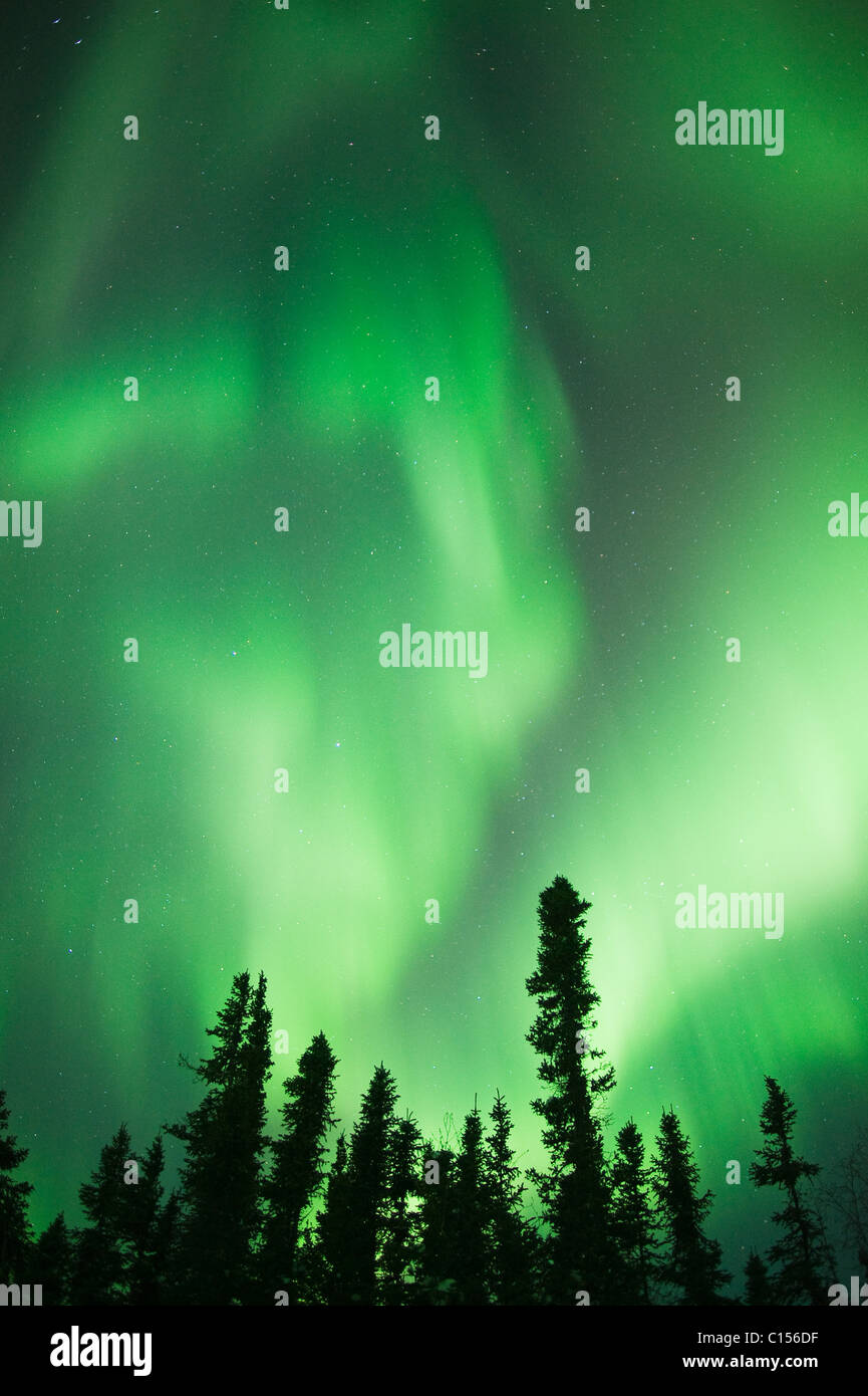 Aurora Borealis or Northern Lights, Northwest Territories, CANADA Stock ...