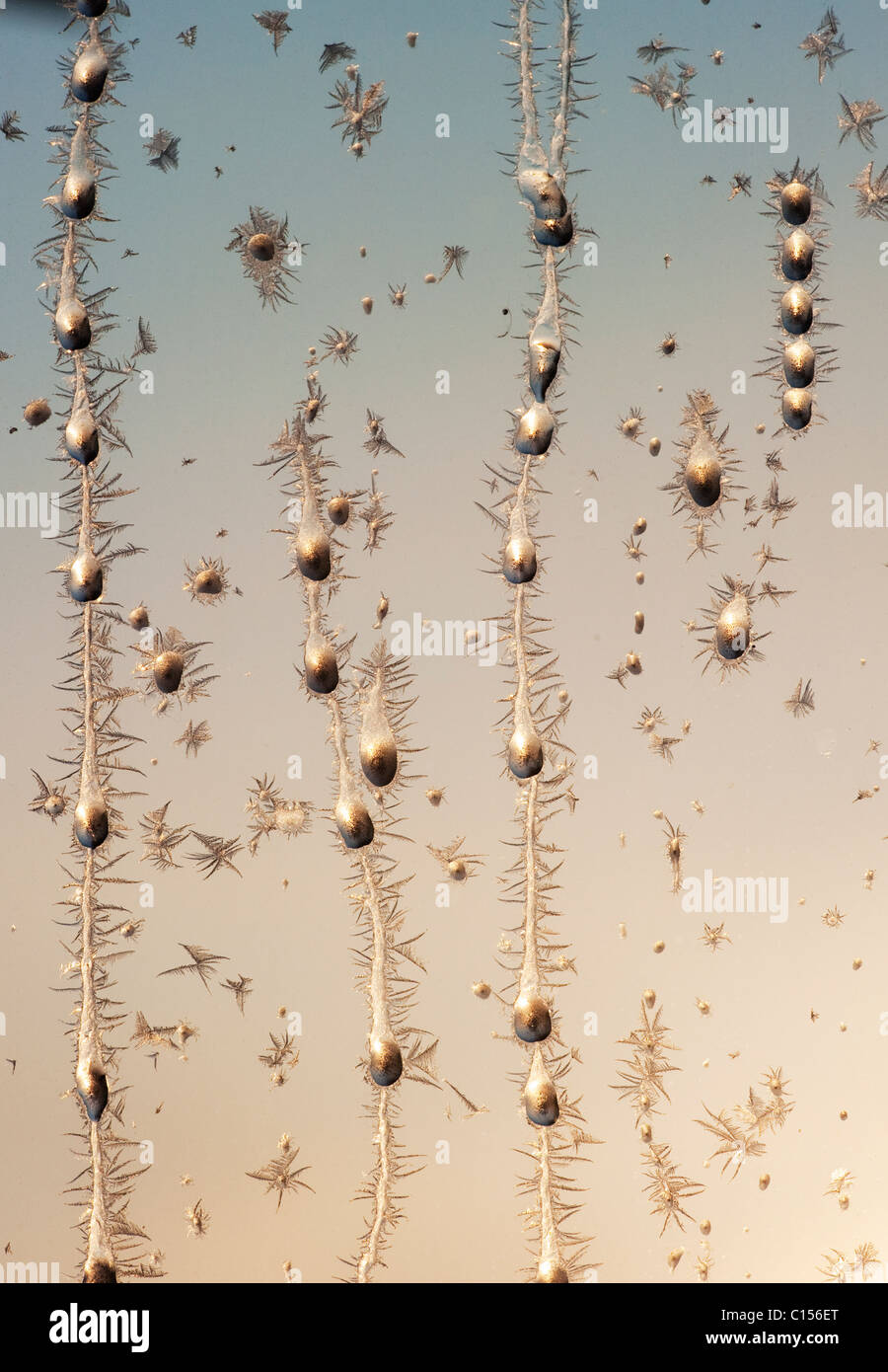 Sun through Ice on cabin window, 40 below zero, winter, Northwest ...