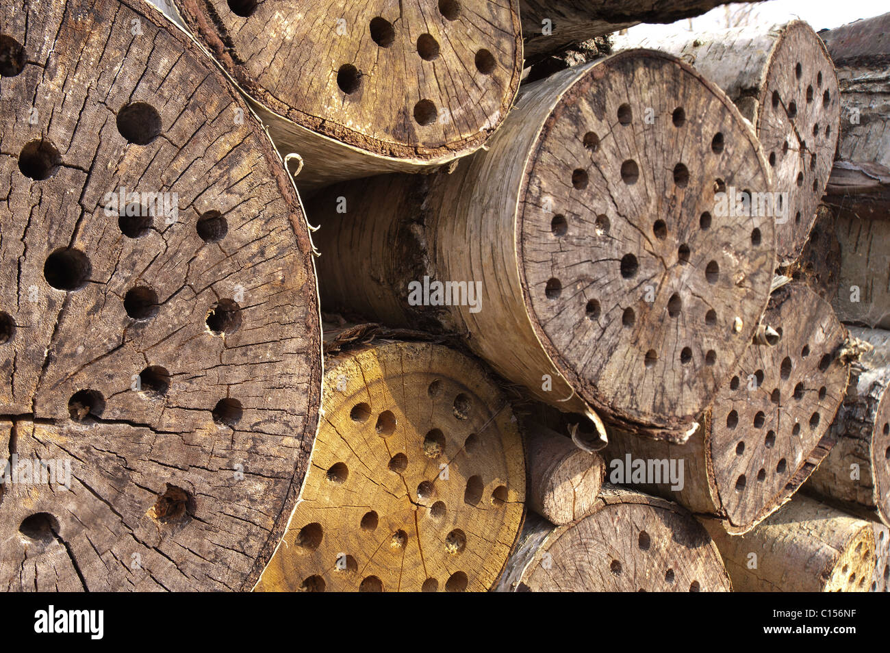 Mini beast man made habitat shelter to aid conservation of insects ...
