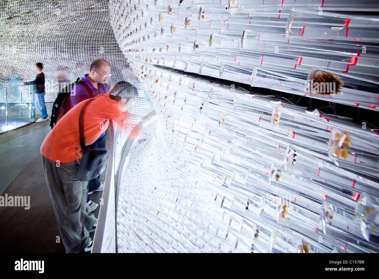 Shanghai World Expo 2010, China. Interior of UK pavilion design by ...
