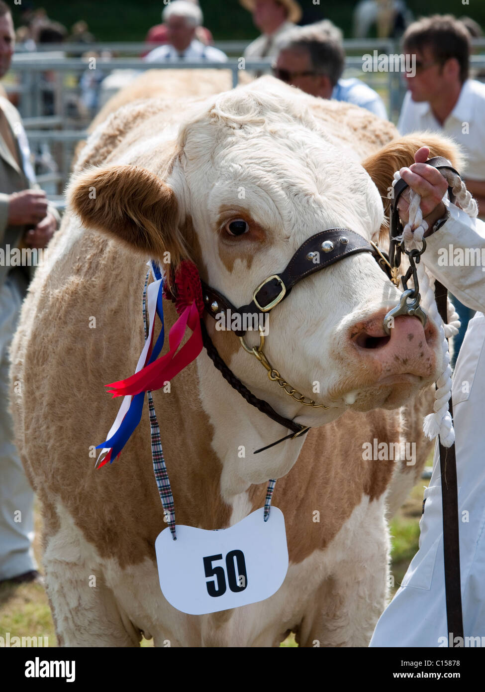 Agricultural show rosette hi-res stock photography and images - Alamy